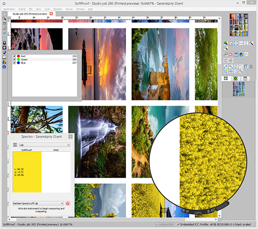 Welcome to the Serendipity Store